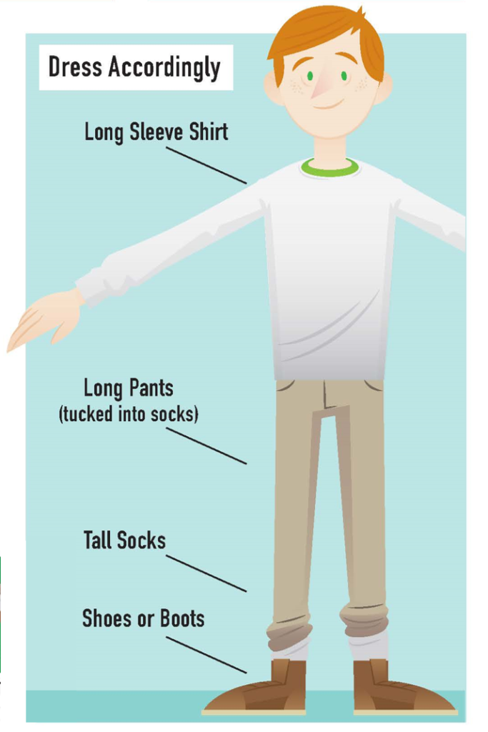 Tick and Lyme Disease Safety Resources — City of Beacon